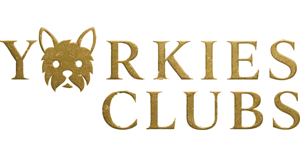 Yorkies Clubs
